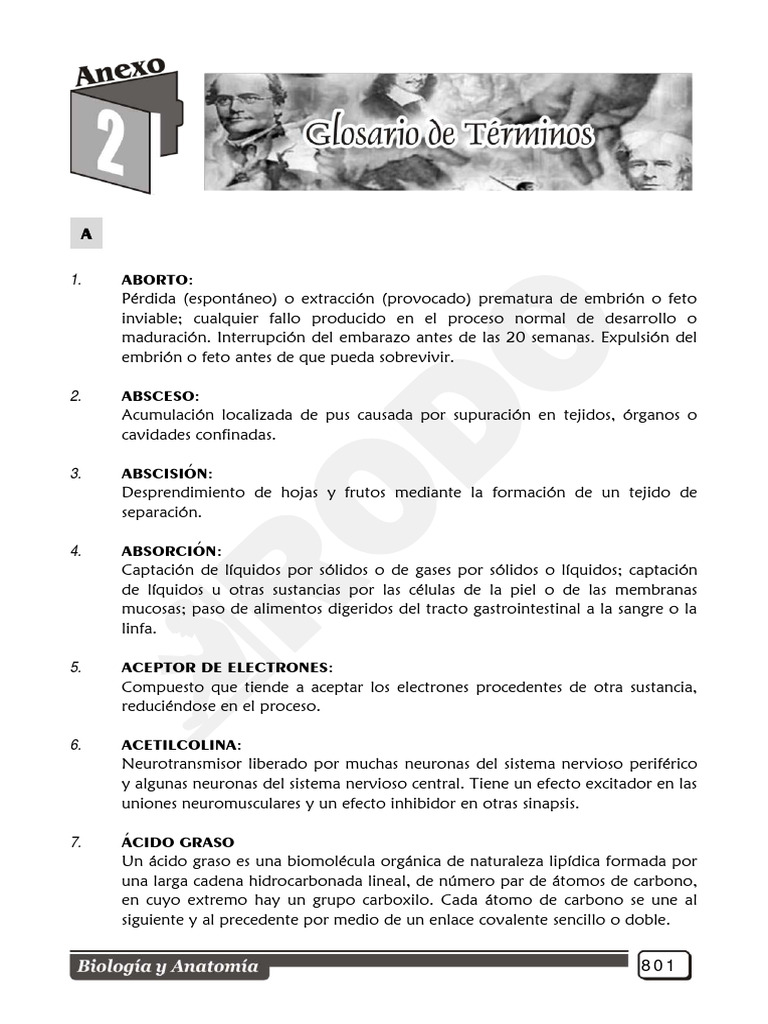 Glosario de Términos Rodo | PDF | Ácido graso | Ácido