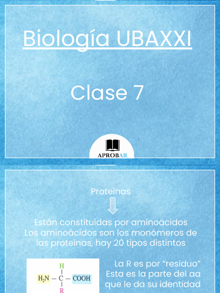 Clase 7 | PDF | Enzima | Estructura proteica