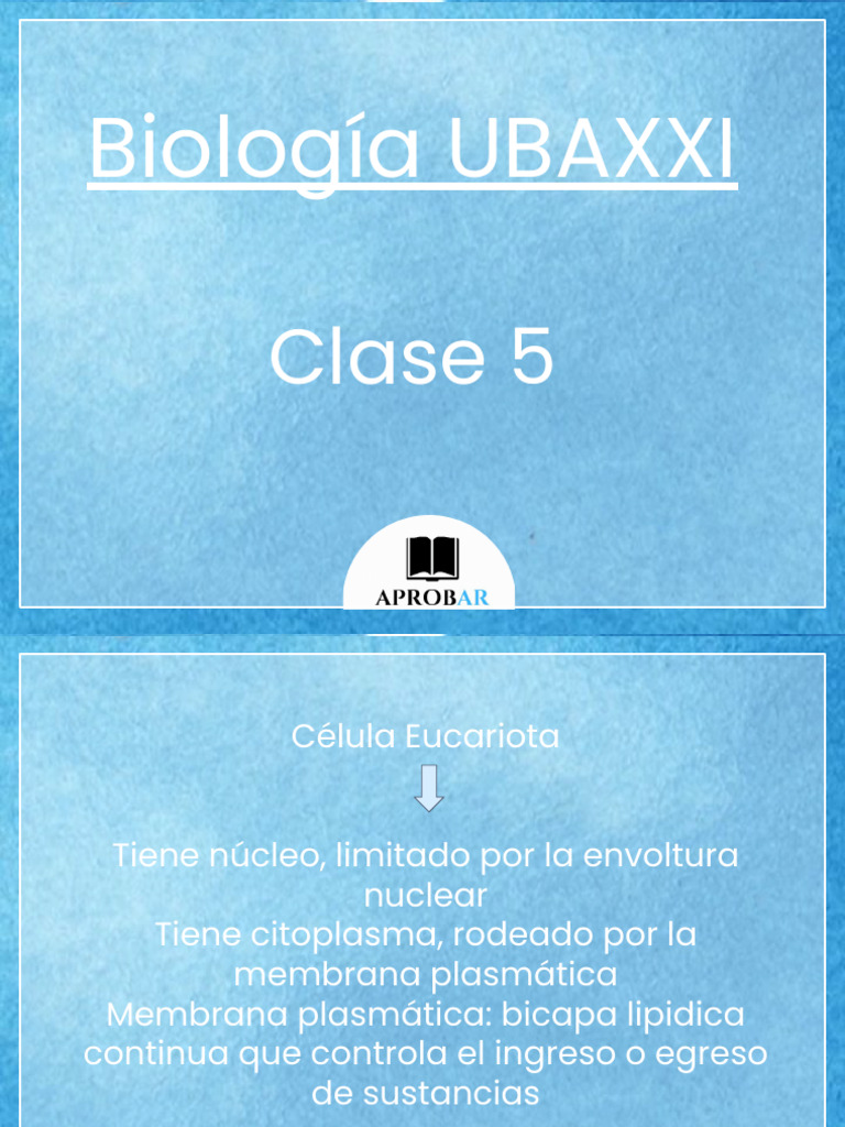 Clase 5 | PDF
