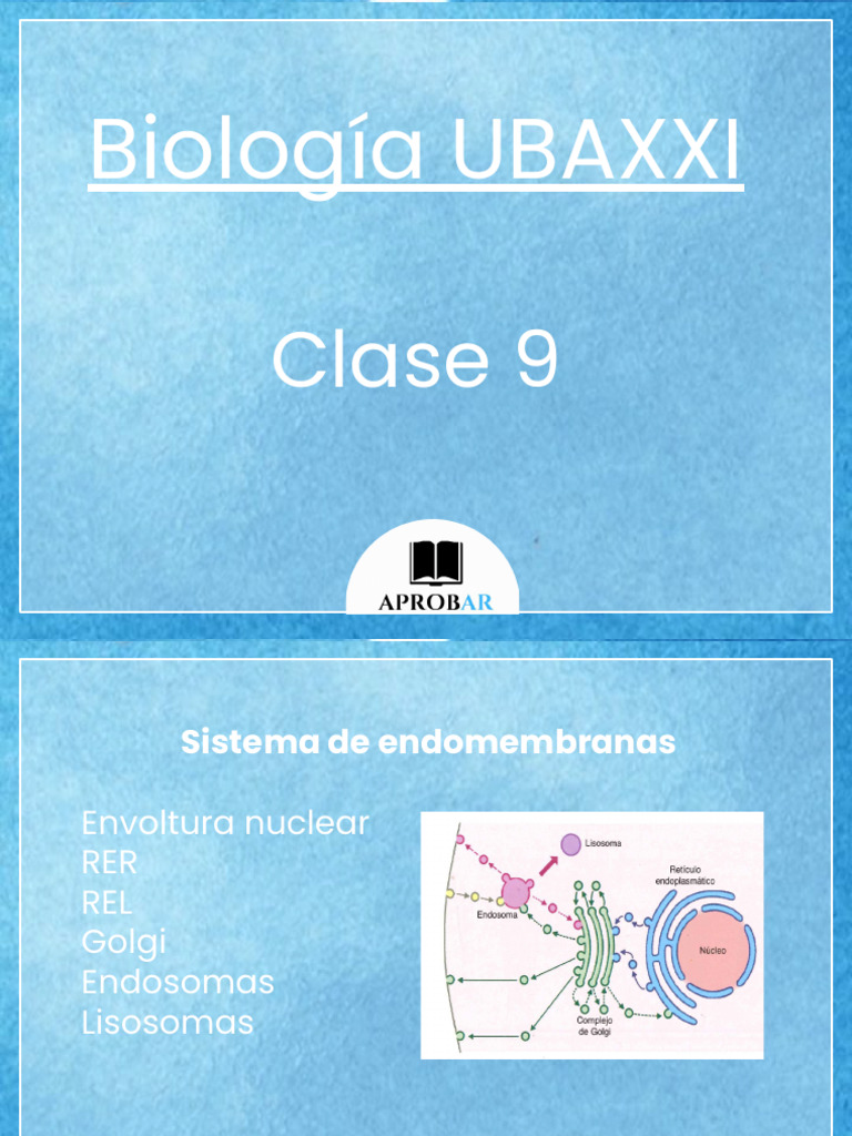 Clase 9 | PDF | Retículo endoplásmico | Biología de membrana