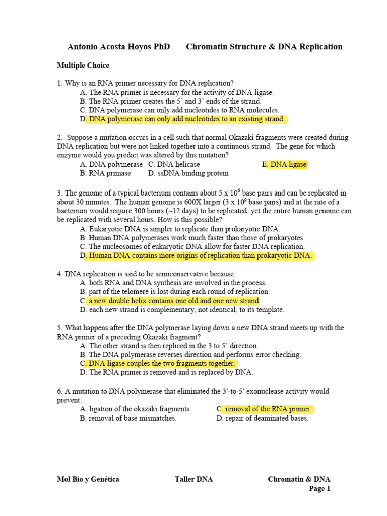 DNA Replication and Chromatin Structure Quiz | PDF | Dna Replication | Dna