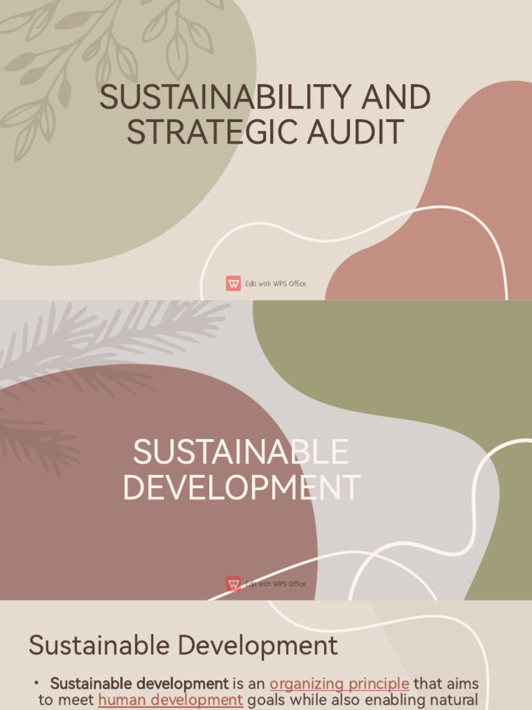 SUSTAINABILITY-AND-STRATEGIC-AUDIT- | PDF | Sustainability | Economies