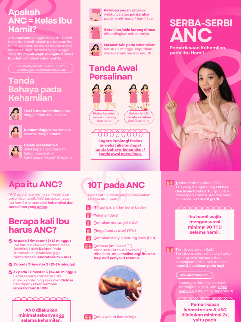 Brosur Antenatal Care (ANC) | PDF