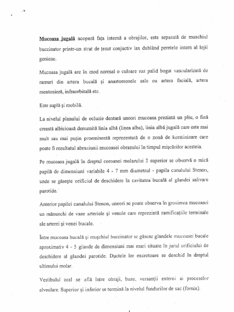 Mucoasa Jugala | PDF