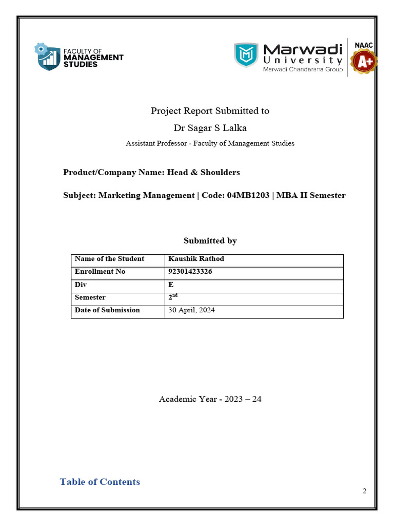 Head & Shoulders Market Positioning Analysis | PDF | Brand | Retail