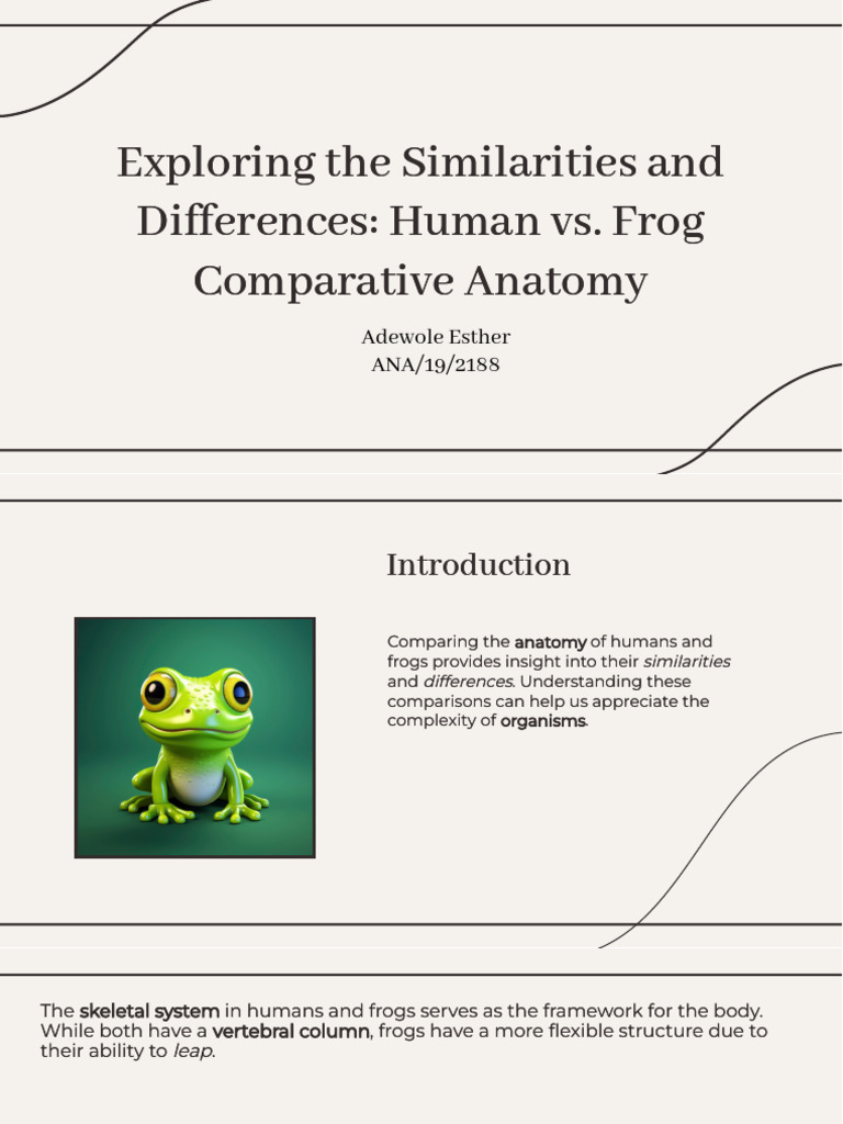 wepik-exploring-the-similarities-and-differences-human-vs-frog ...