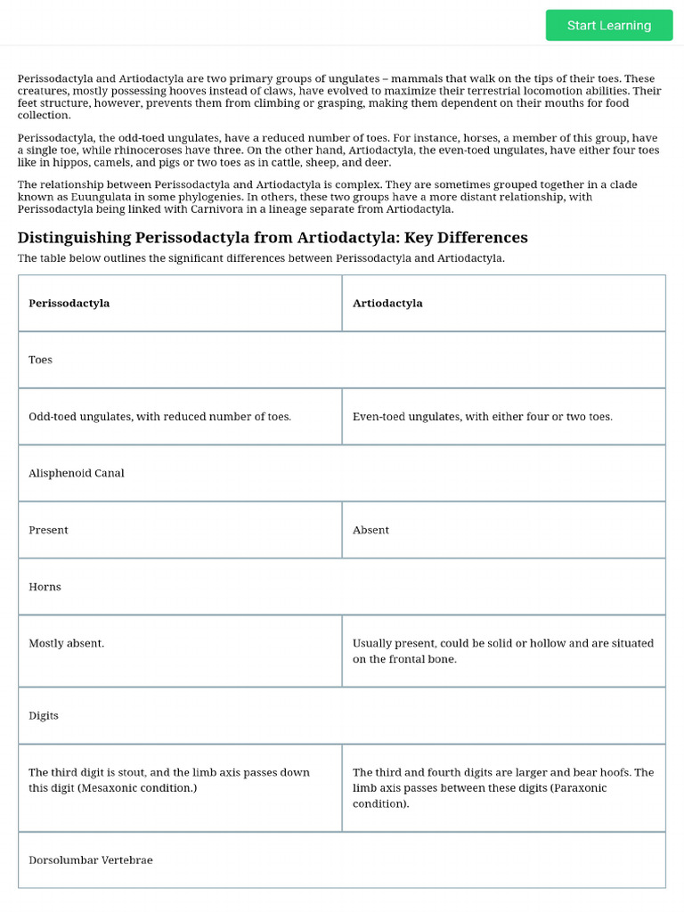 Perissodactyla Vs Artiodactyla - Key Differences | PDF