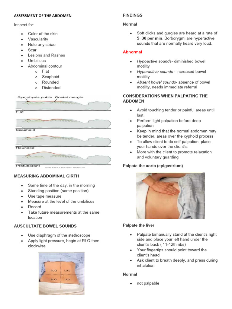 Assessment of The Abdomen | PDF | Abdomen | Liver