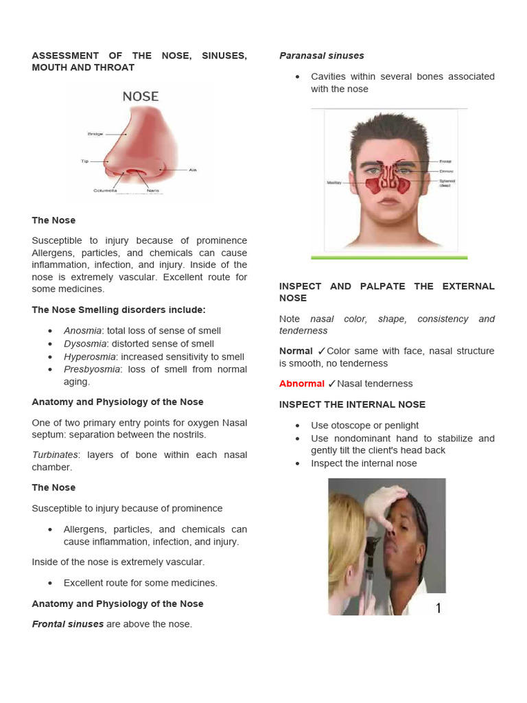 ASSESSMENT OF THE NOSE | PDF | Human Nose | Tongue
