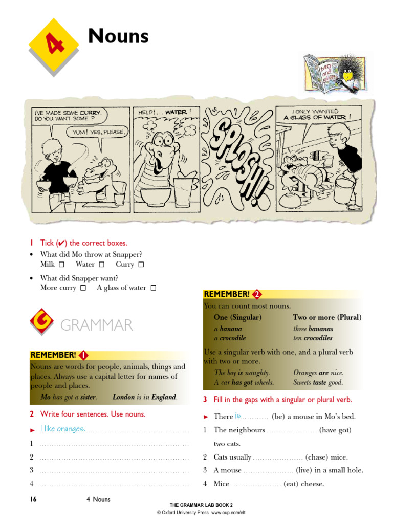 CH 4 Nouns - Rules For Usage | PDF | Plural | Grammatical Number