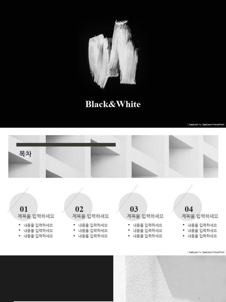 Black White SBPPT | PDF