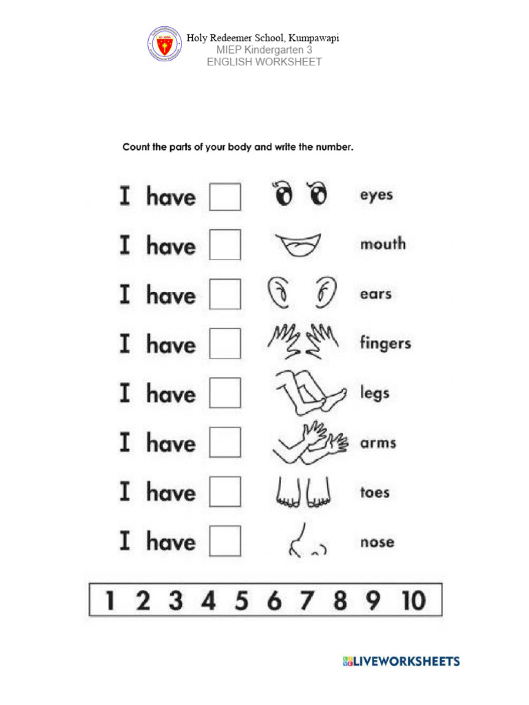 PARTS OF THE BODY (NUMBER) | PDF