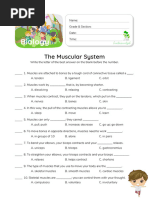 KS3 Reproductive System Activity | PDF | Reproductive System | Uterus