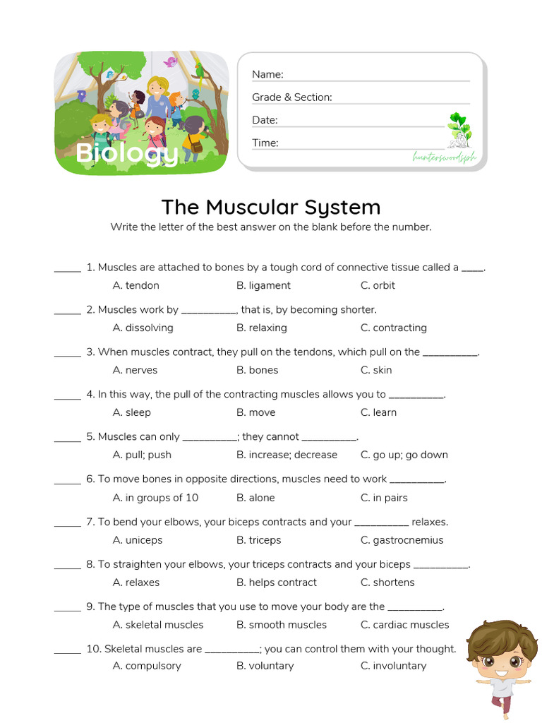 4-How-the-Muscular-System-Works-Worksheet-for-Grade-5 | PDF