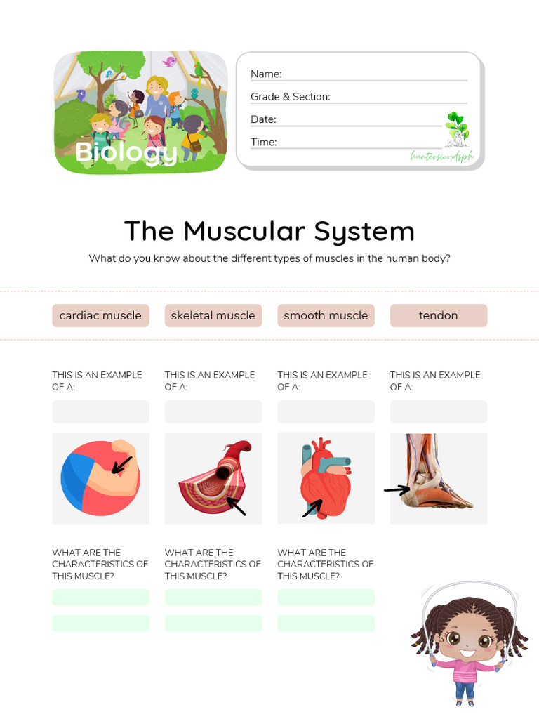 2 Muscular System Worksheet | PDF