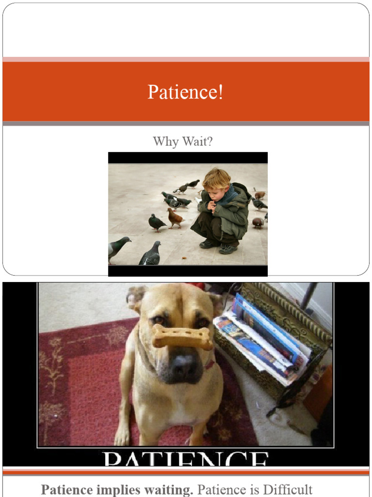 SS-StAugustine-Patience-11-21-09 | PDF | Patience | Religious Belief ...