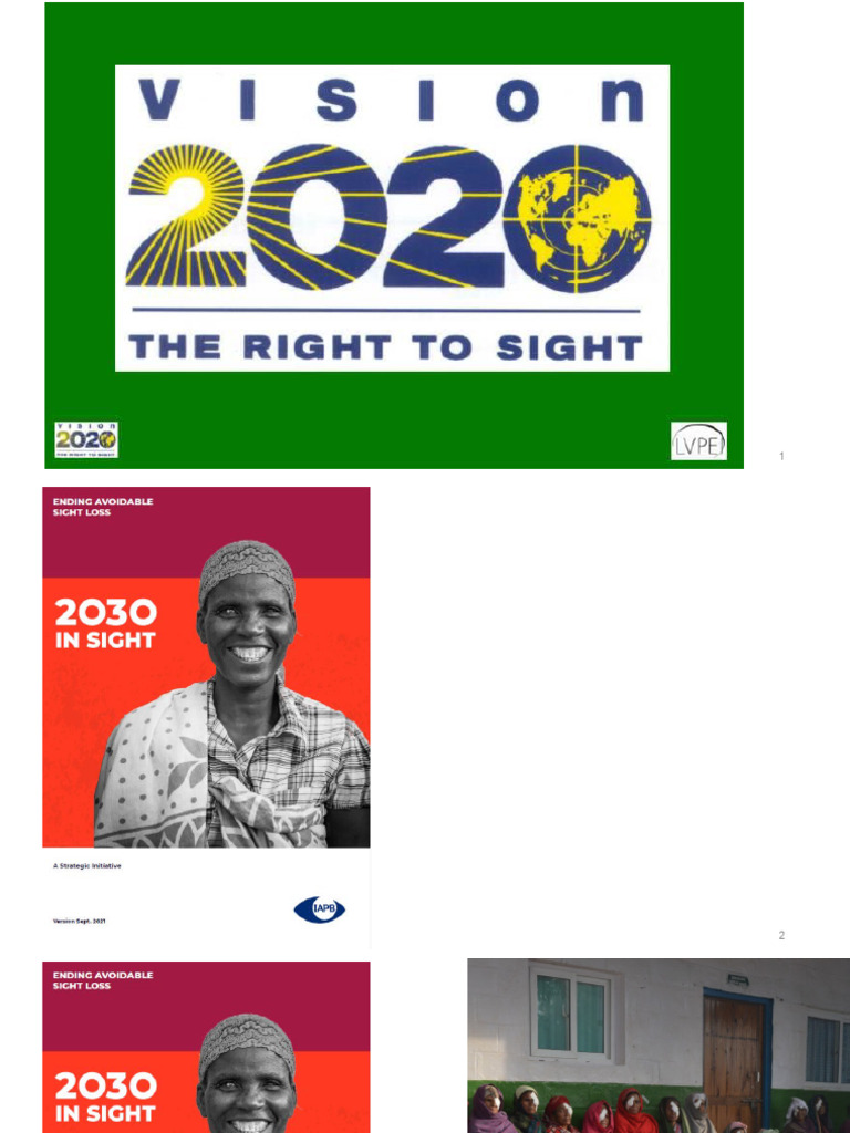 17.VISION 2020 | PDF | Visual Impairment | Public Services
