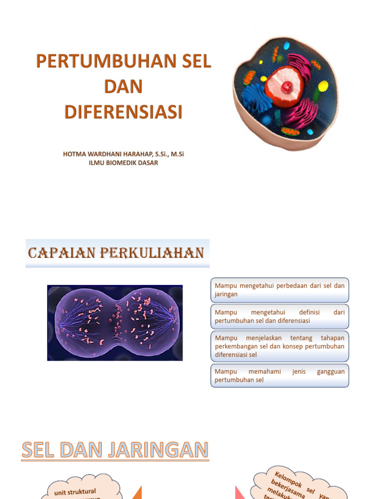 Pertumbuhan Sel Dan Diferensiasi | PDF