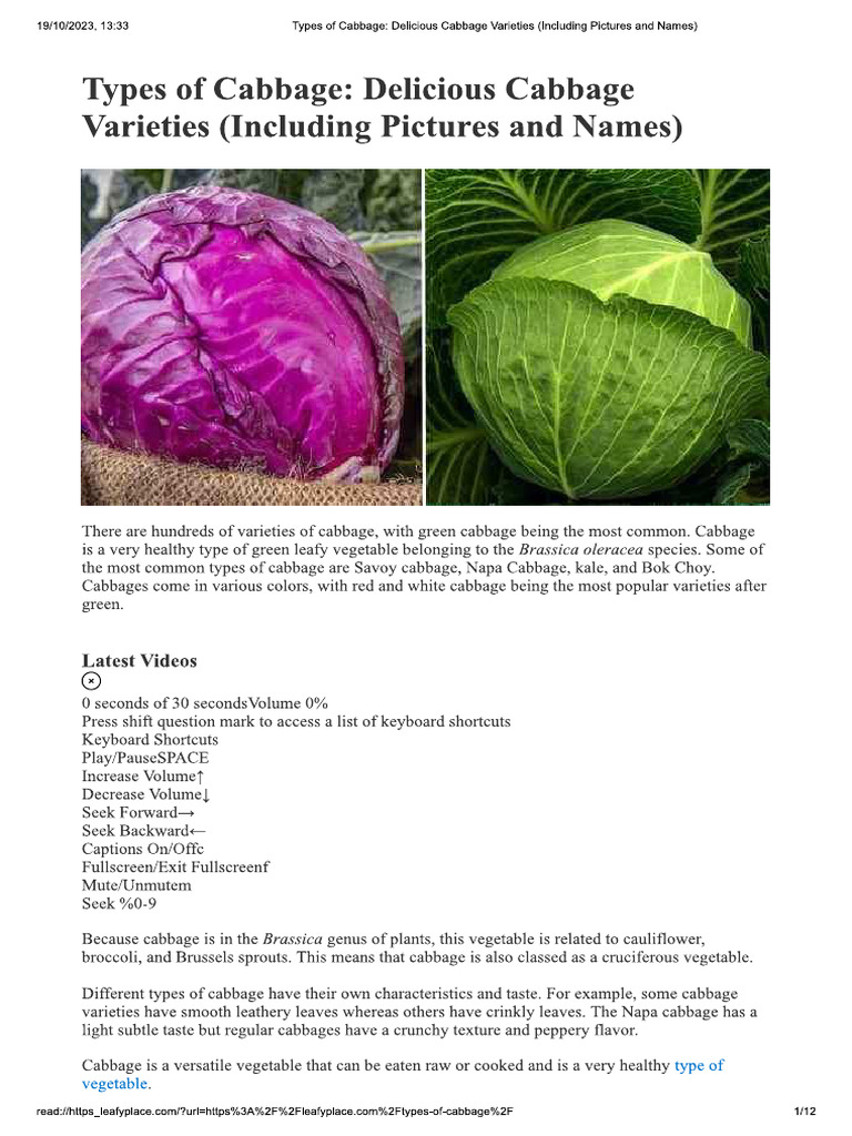 Types of Cabbage - Delicious Cabbage Varieties (Including Pictures and Names) | PDF