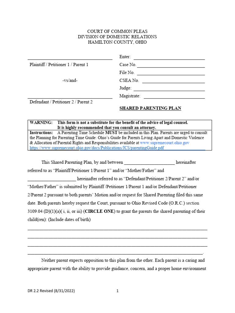 2-2 Shared Parenting Plan | PDF | Child Support | Insurance