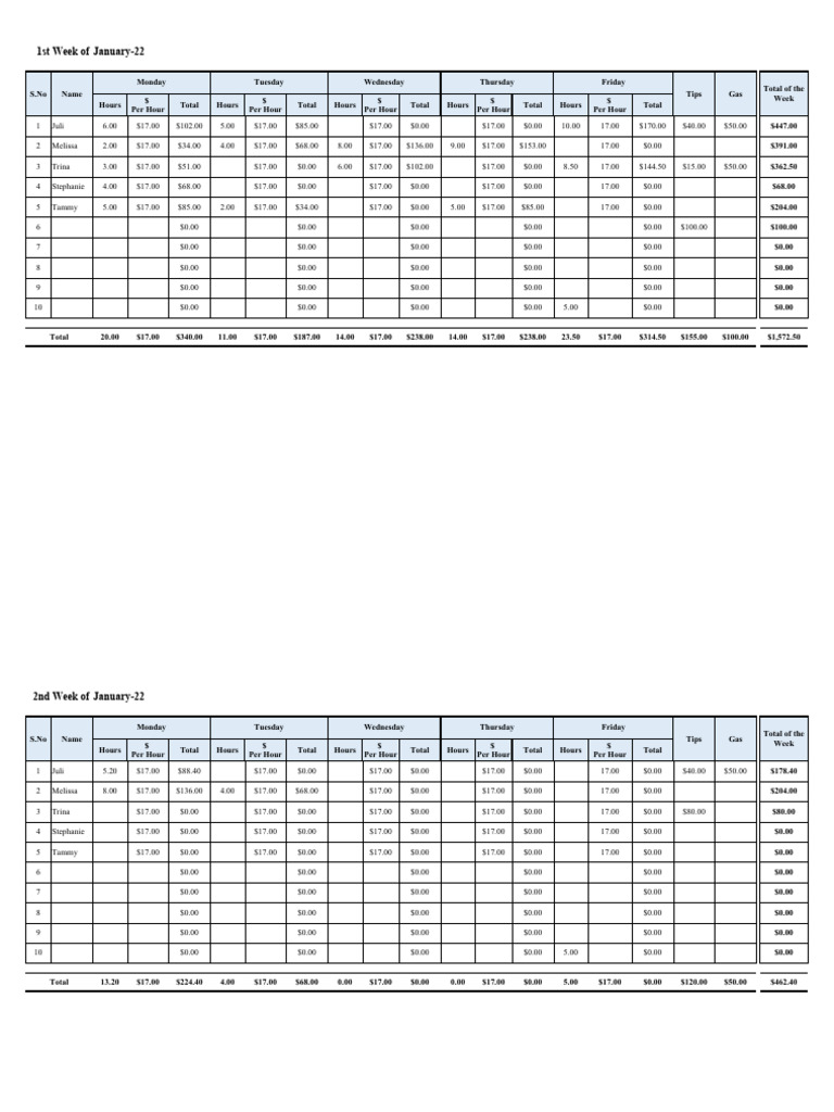 Template 06 Working Hours With Tips and Other Incentives | PDF