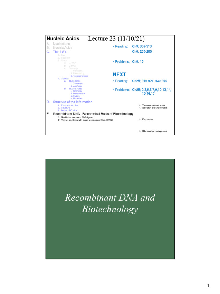 RCDNA | PDF | Molecular Cloning | Complementary Dna