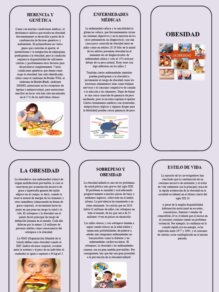 Triptico de La Obesidad 3 | PDF | Obesidad | Enfermedades y trastornos Triptico de La Obesidad 3 | PDF | Obesidad | Enfermedades y trastornos