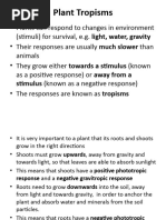 Tropisms - IGCSE Biology Revision Notes | PDF | Auxin | Root