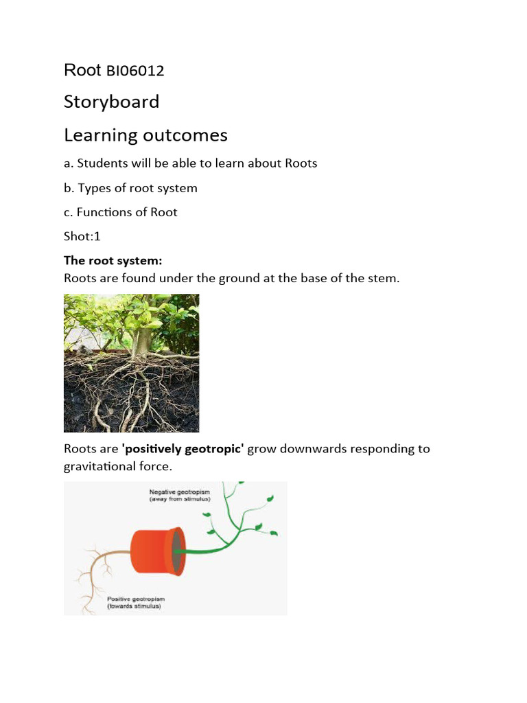Root BI06012 Storyboard 6th Grade | PDF