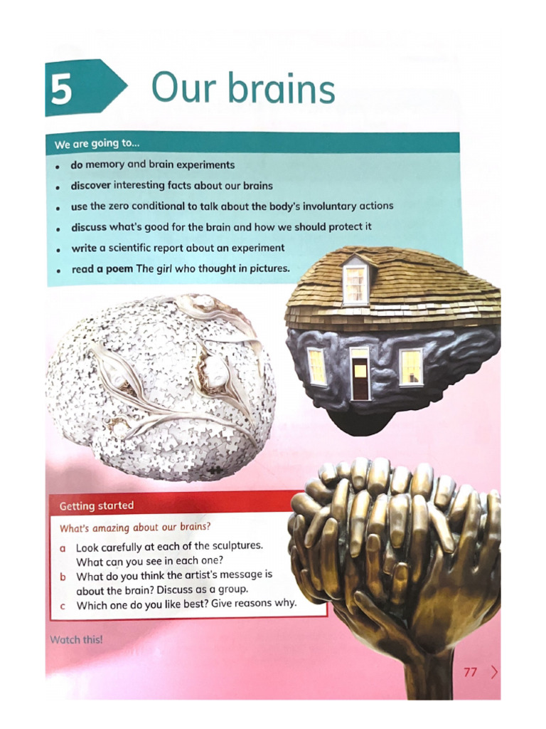 English Primary 5 | PDF