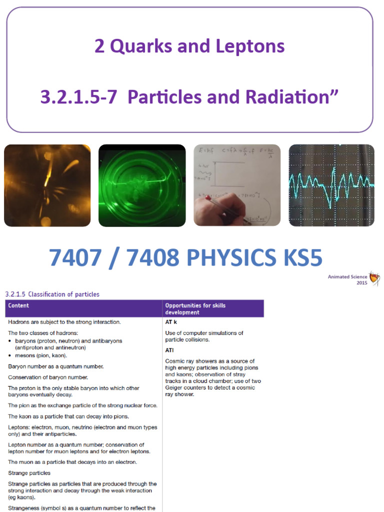 02 Quarks and Leptons | PDF | Neutrino | Hadron