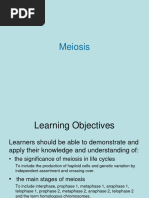 Video Recap of Meiosis by Amoeba Sisters Updated Pictures | PDF | Meiosis | Chromosome