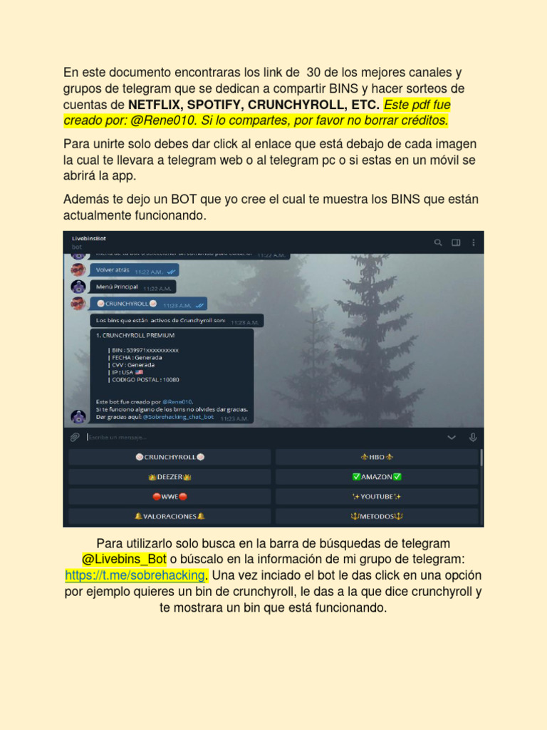 Canales y Grupos de Carding en Telegram | PDF