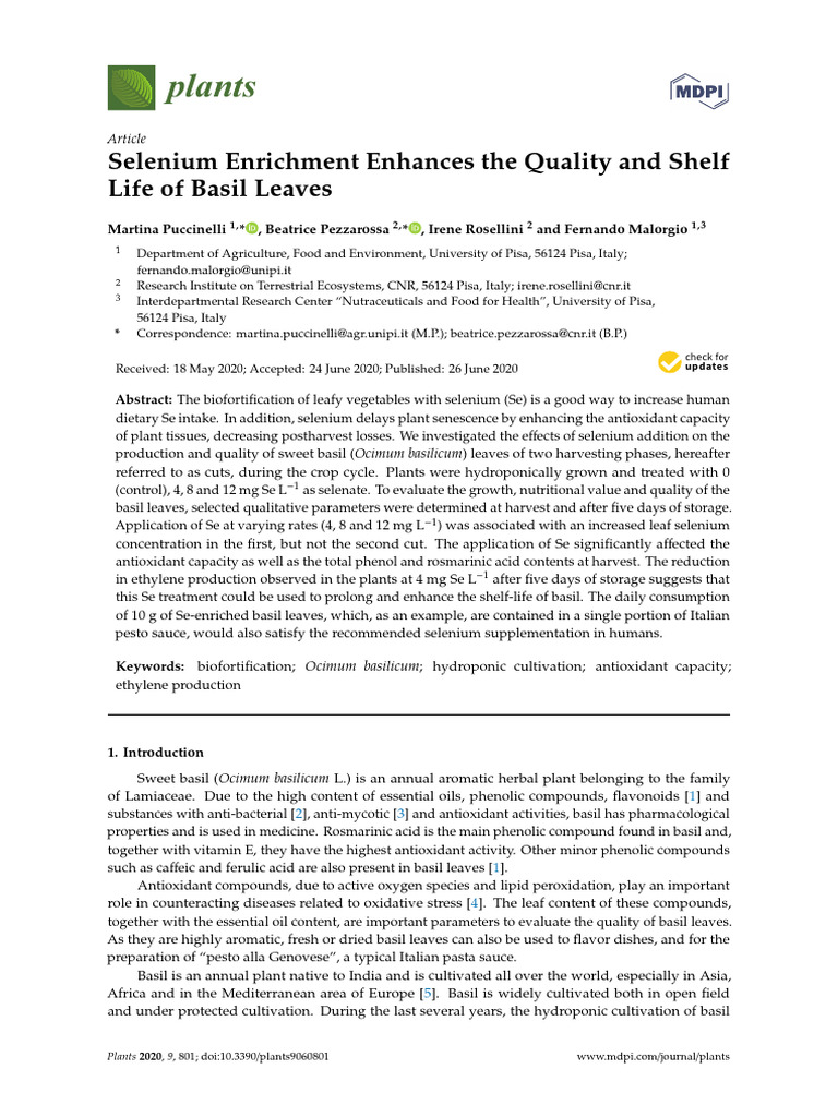 Puccinelli.2020-Selenium Enrichment Enhances The Quality and Shelf | PDF | Selenium | Basil
