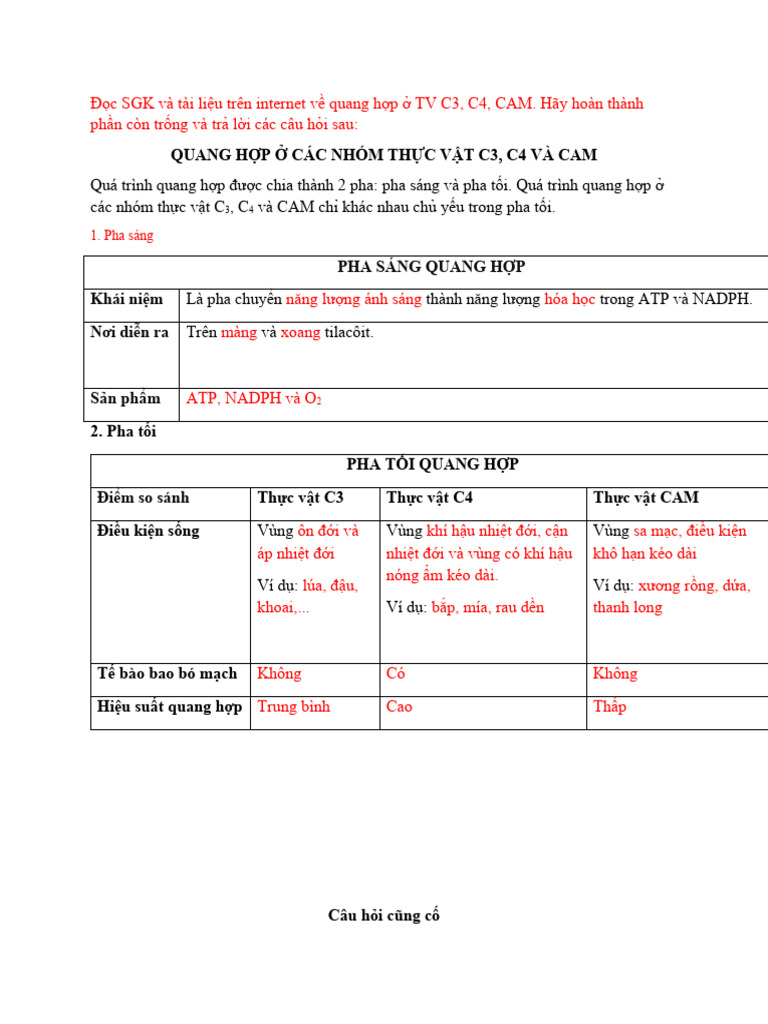 BÀI TẬP BÀI 9. QH Ở TV C3,C4,CAM | PDF