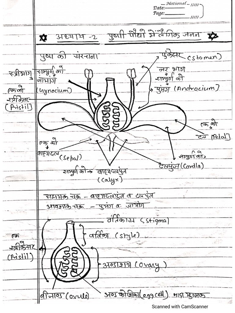 Biology Class 12 Chapter 02 PDF | PDF