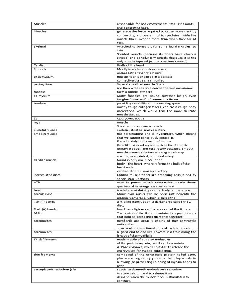 Muscles | PDF | Anatomical Terms Of Motion | Muscle Contraction