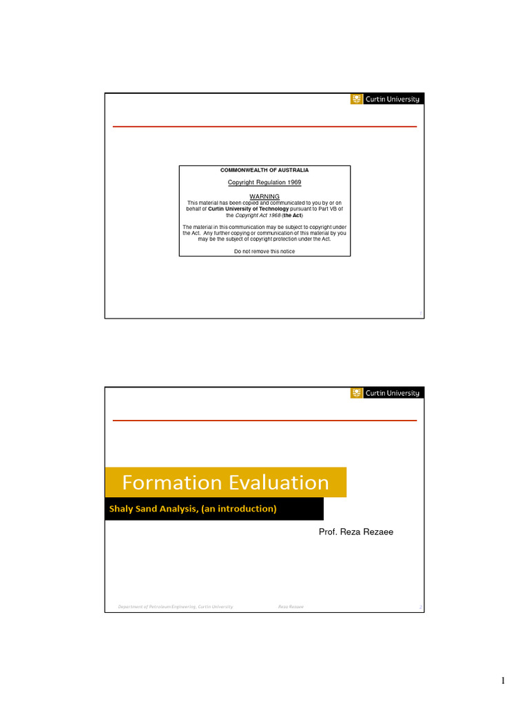 Lecture 11 Shaly Sand Analysis | PDF | Shale | Porosity
