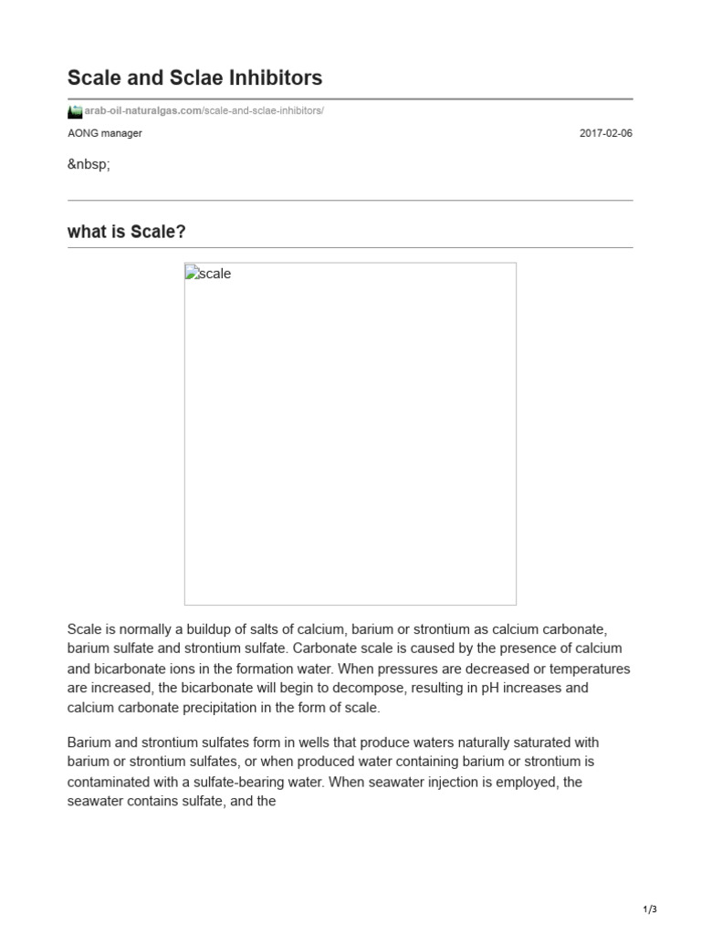 Barium Sulfate Scale Inhibitors Overview | PDF | Calcium ...