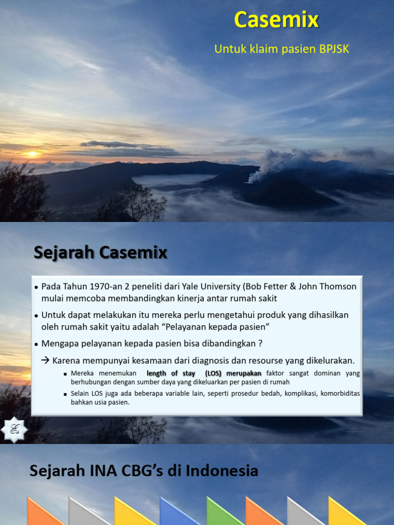 Casemix | PDF