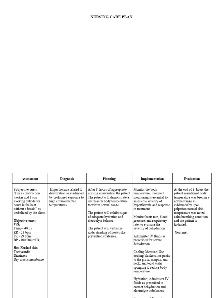 Nursing Care Plan | Download Free PDF | Hyperthermia | Dehydration
