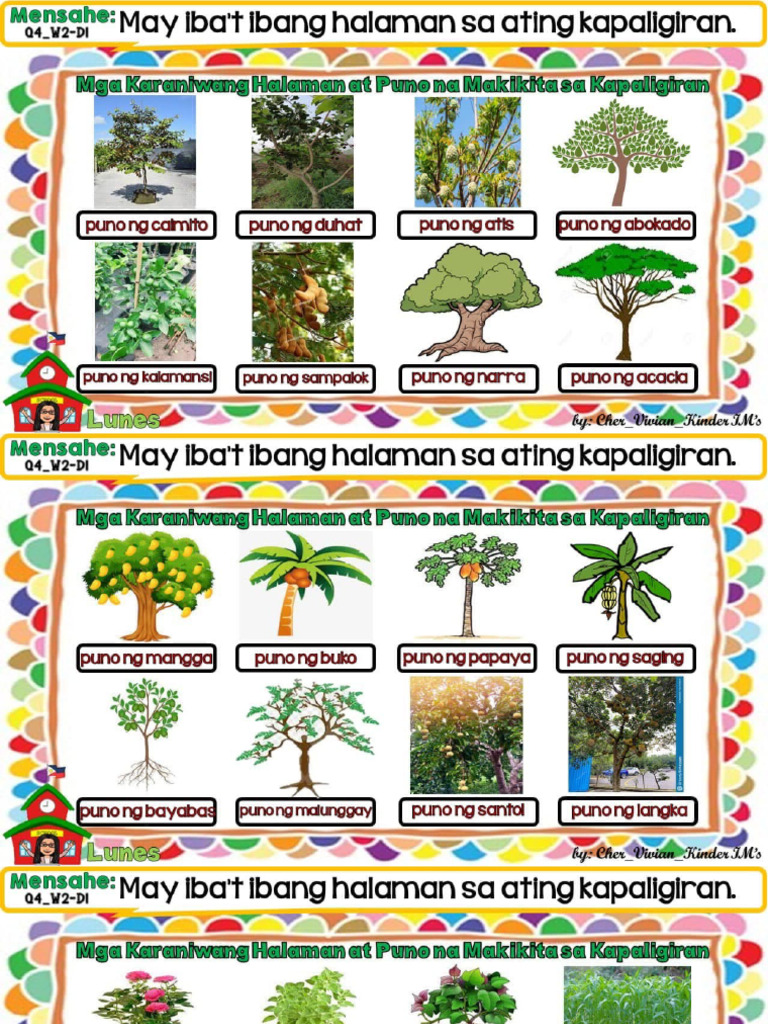Lesson Mga Halaman | PDF