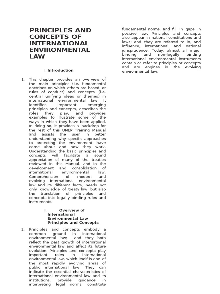 Principles of Intl Environmental Law | PDF | Sustainability ...