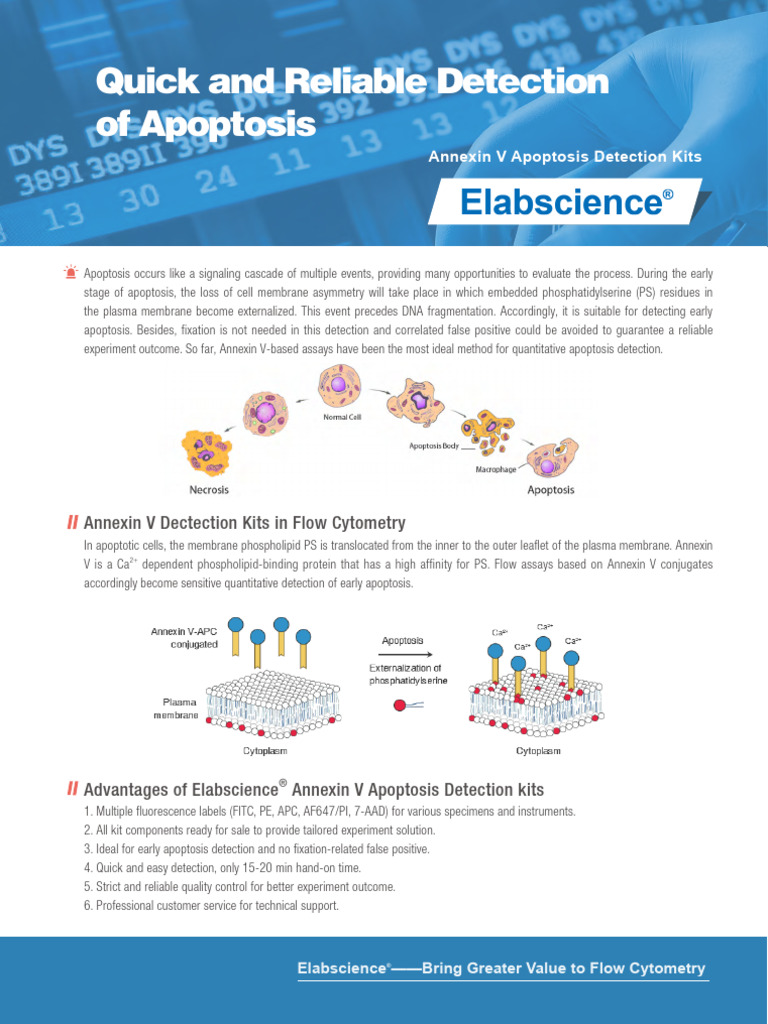 Annexin V Apoptosis Detection Kits | PDF | Apoptosis | Biotechnology