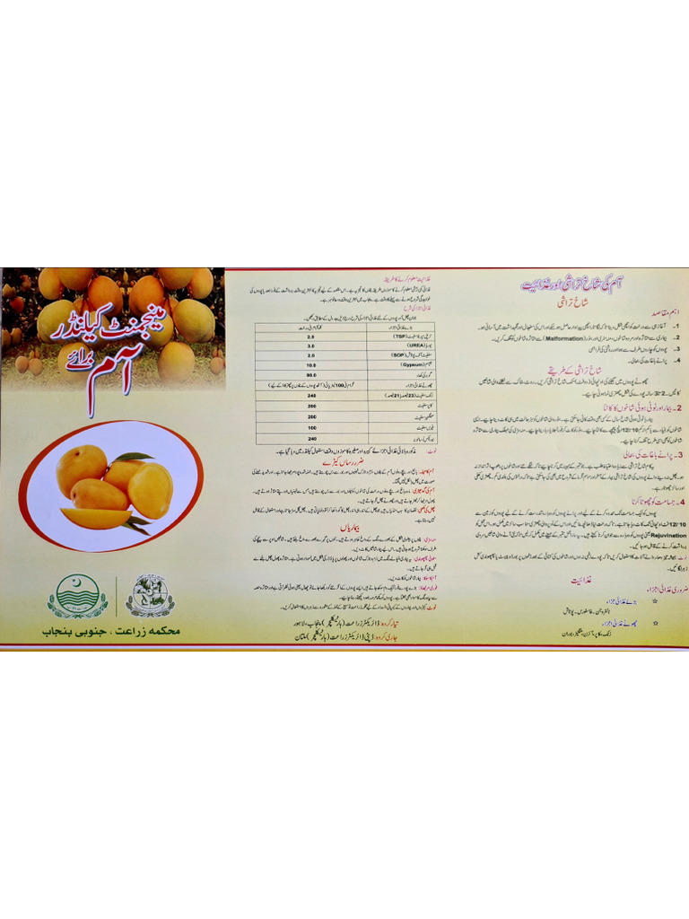 Mango Orchards Management Calendar | PDF