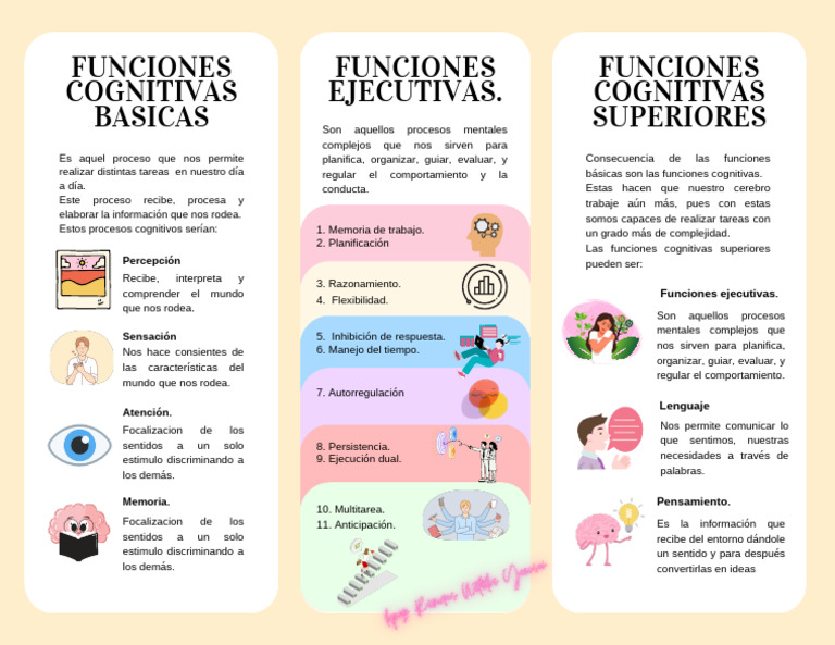 Funciones Cognitivas Superiores Explicadas | PDF | Mente | Memoria