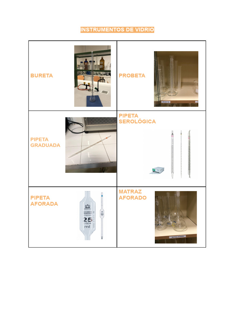 Instrumentos Del Laboratorio TGL | Descargar gratis PDF | Equipo de laboratorio