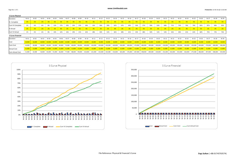 Physical & Financial S Curve-1 | PDF