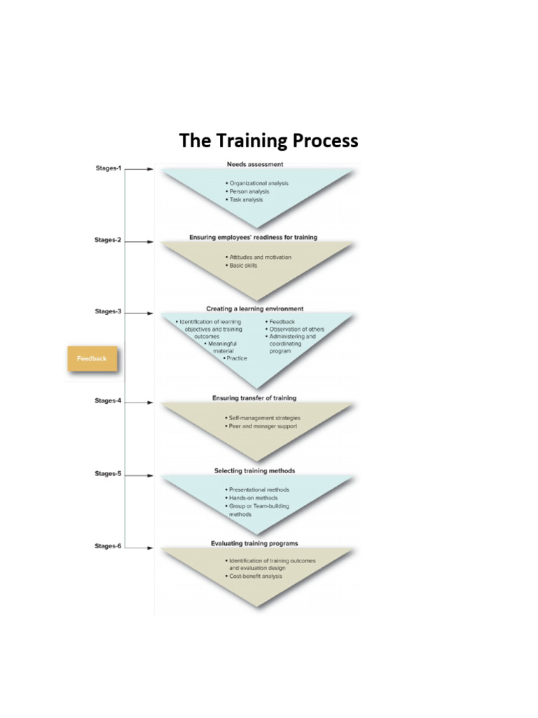 Training Process | PDF