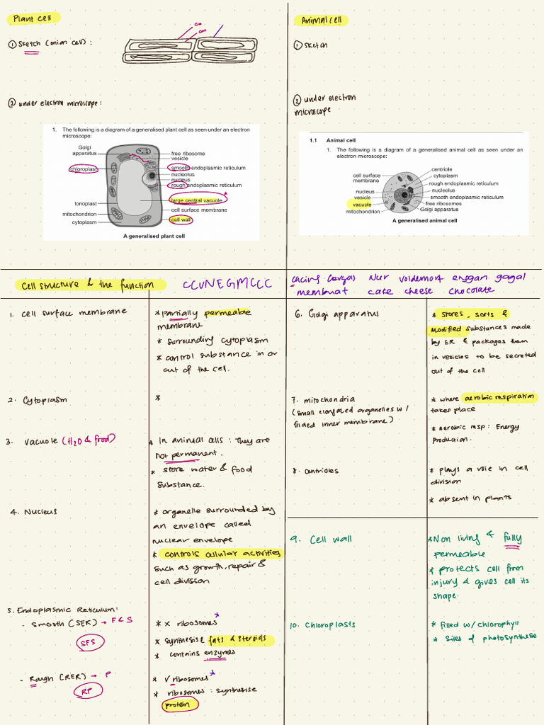 Biology O Level Summary Notes | PDF | Endoplasmic Reticulum | Cell ...